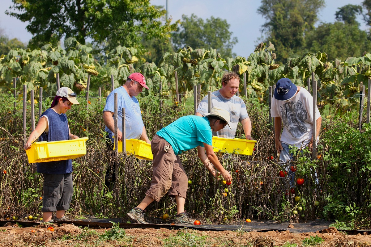 Consultations - Care Farming Network