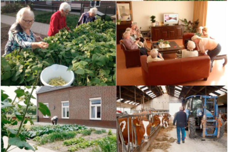 Current status and potential of care farms in the Netherlands - Care ...