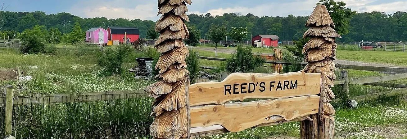 Care Farm Meet-ups and Farm Tours - Care Farming Network