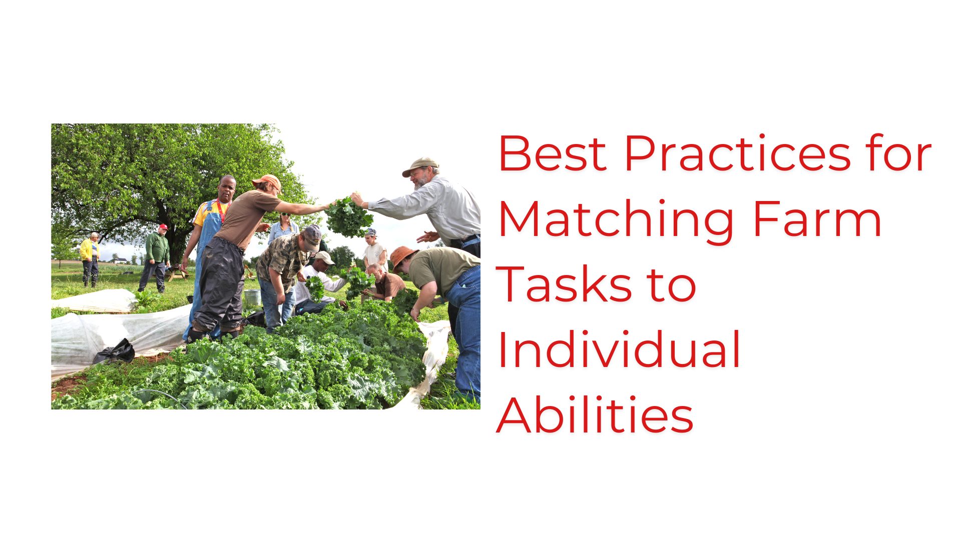 Best Practices for Matching Farm Tasks to Individual Abilities - Care ...