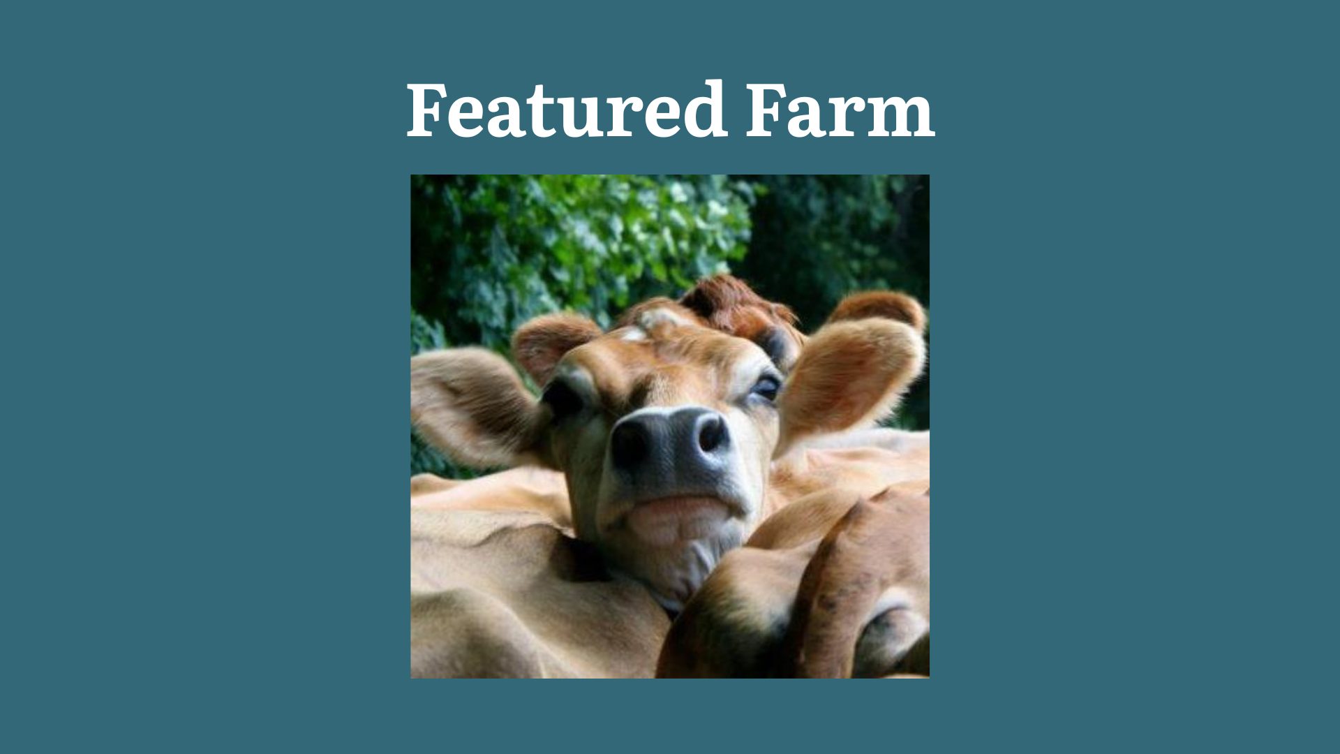 The Lands at Hillside Farms - Care Farming Network