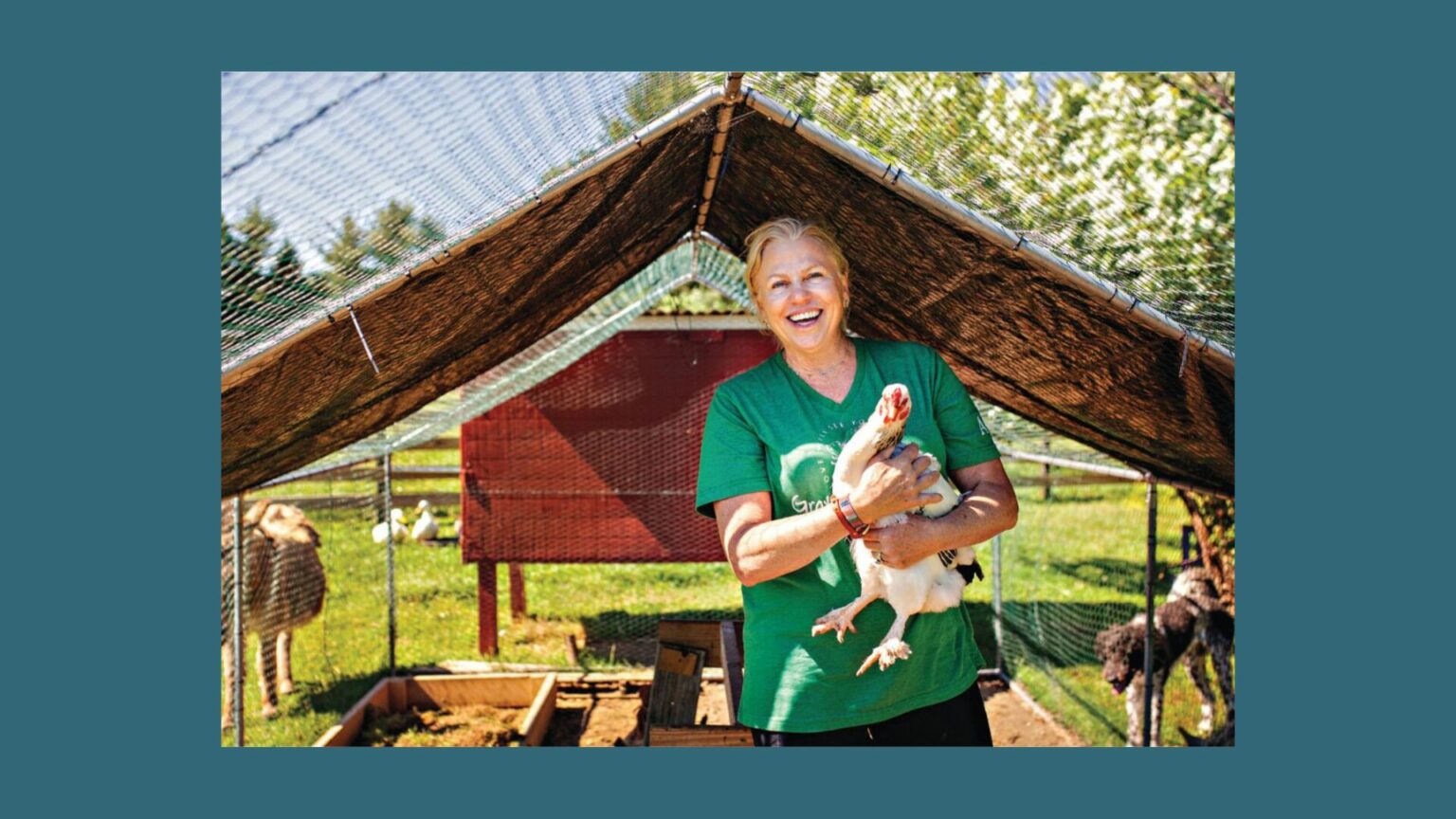 Home Page - Care Farming Network