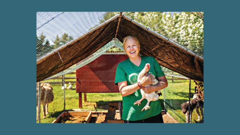 Home Page - Care Farming Network