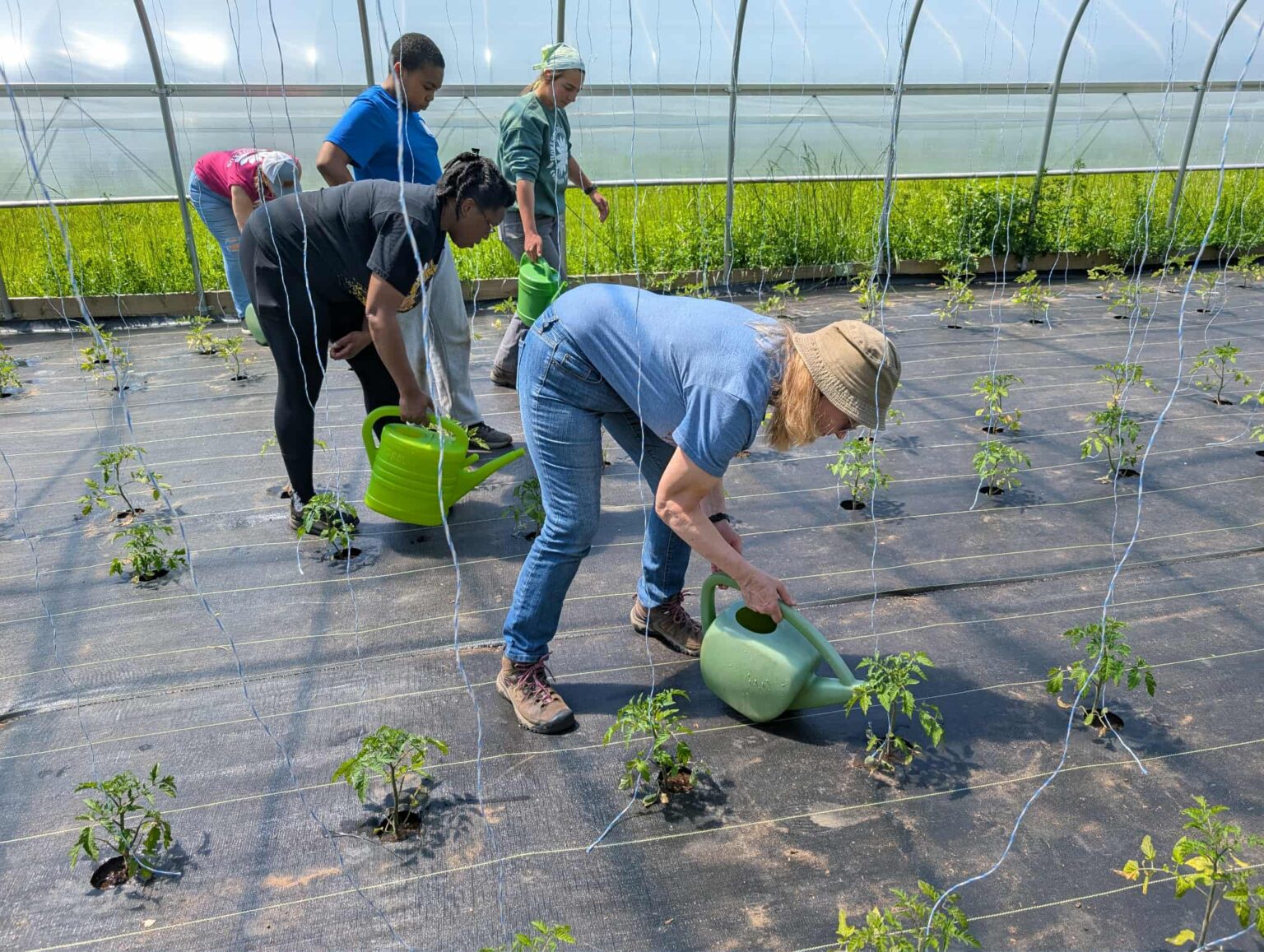 Homesteads for Hope Care Farm Tour & Meetup (NY) - Care Farming Network