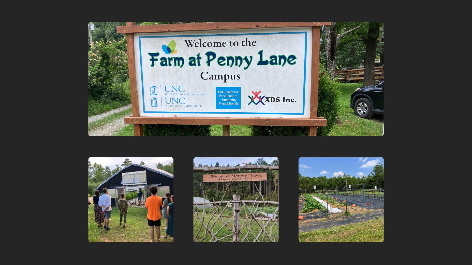 Home Page - Care Farming Network