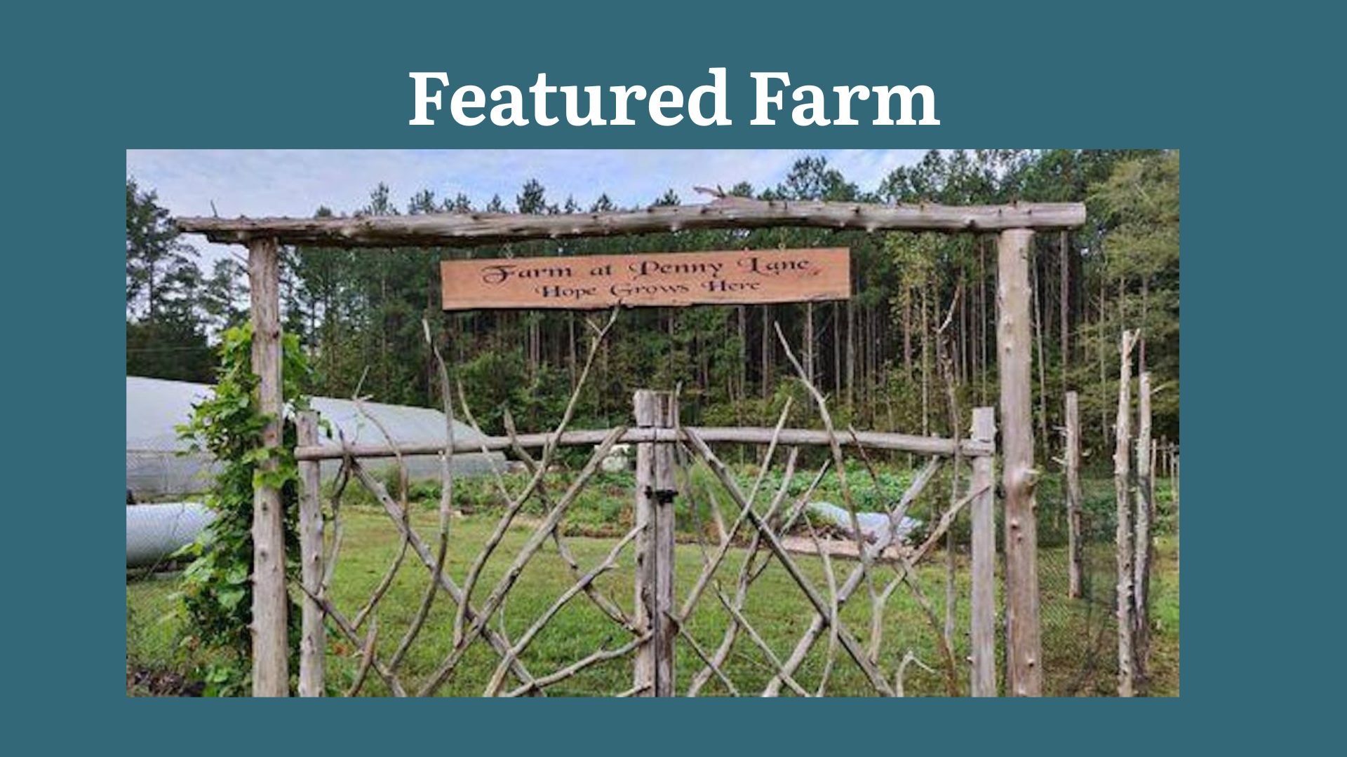 Farm at Penny Lane - Care Farming Network