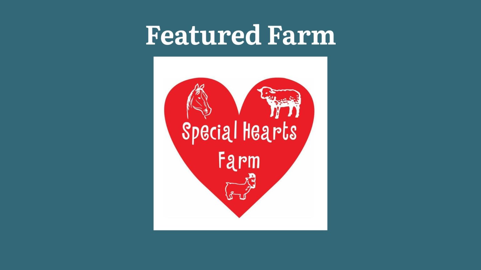 Home Page - Care Farming Network