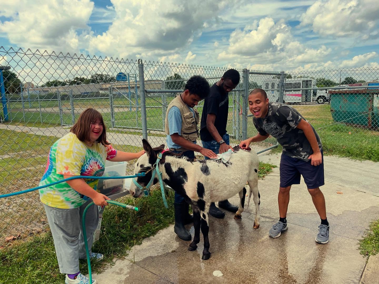 Special Hearts Farm - Care Farming Network