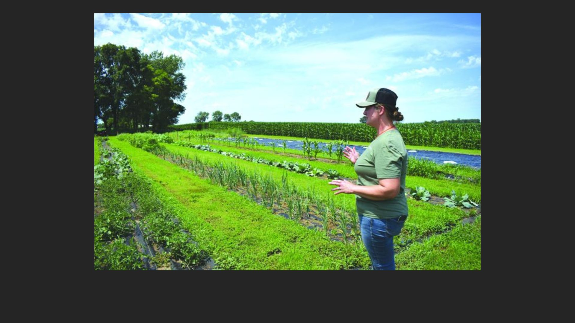 Home Page - Care Farming Network