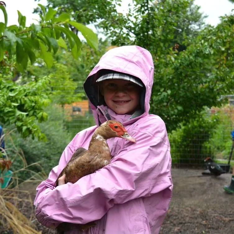 Grant Case Study + Organizational Timeline: Imagine That Farm - Care ...