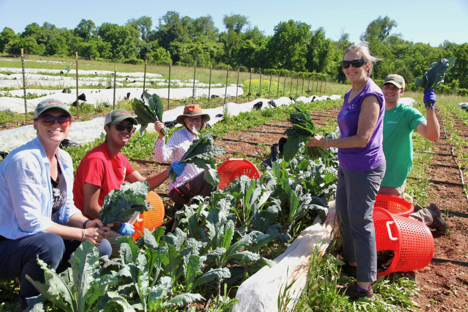 Home Page - Care Farming Network